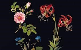 delany flowers | Castletown
